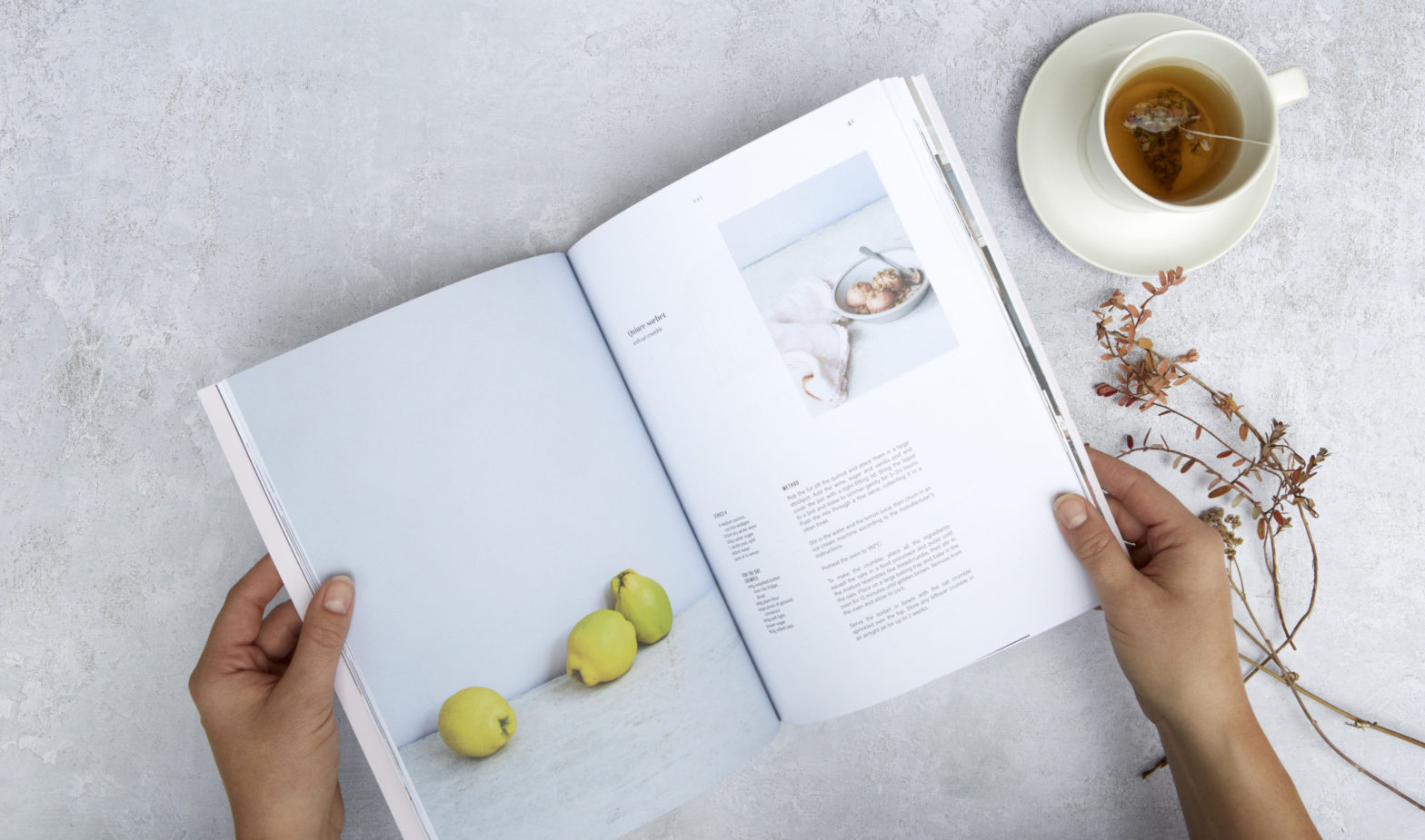 Seed magazine - Carole Bamford